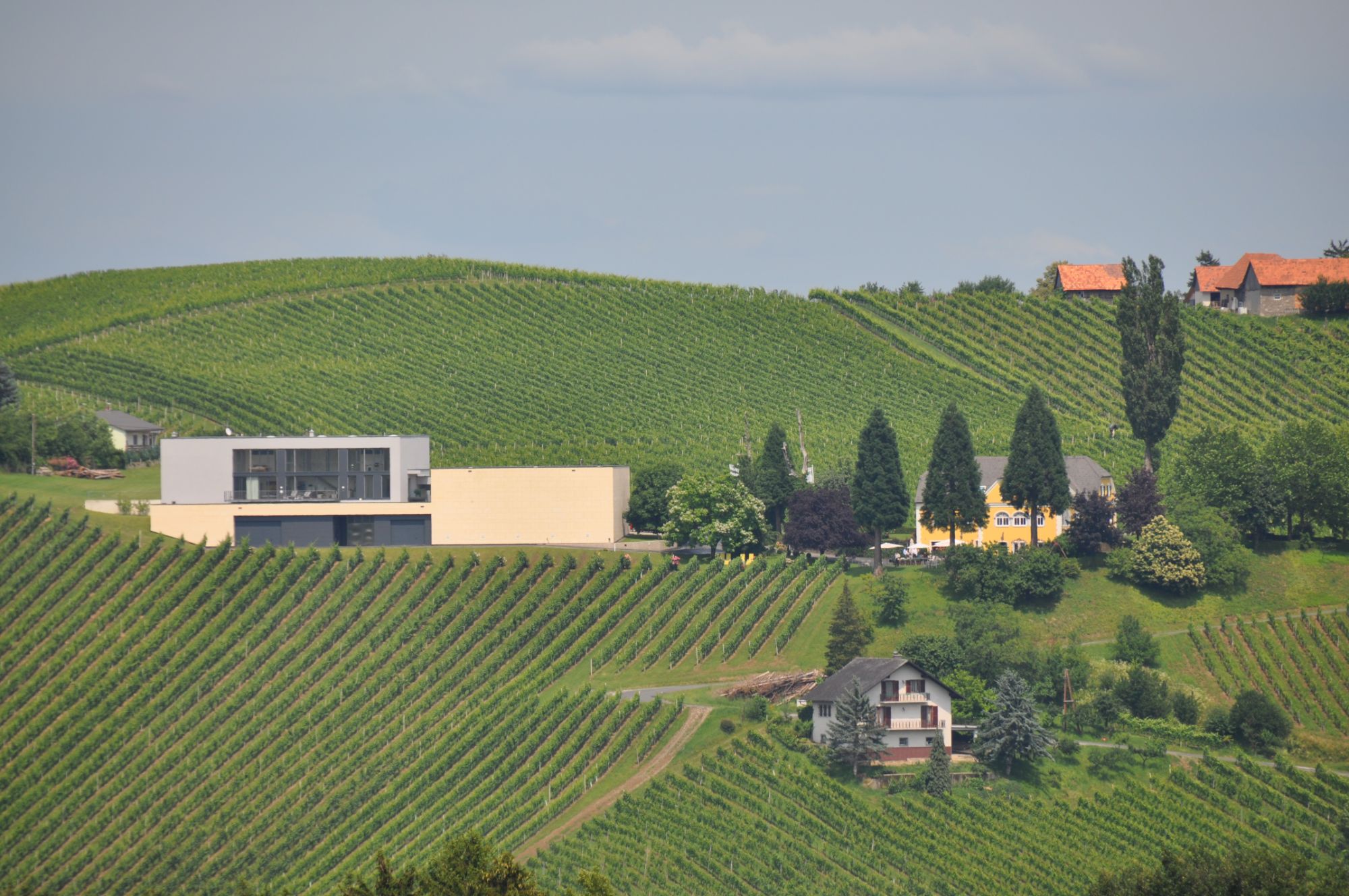 Weingut Brolli-Arkadenhof